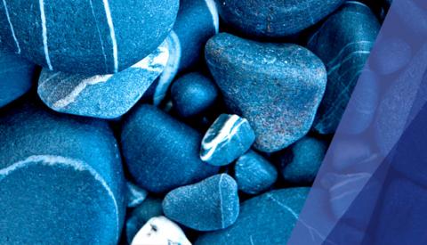The Mindfulness Effect | Canadian Management Centre