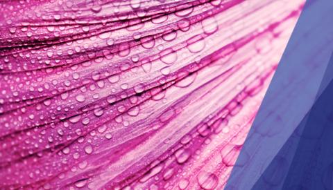 3 - Point Estimation (PERT Sigma Calculations) | Canadian Management Centre