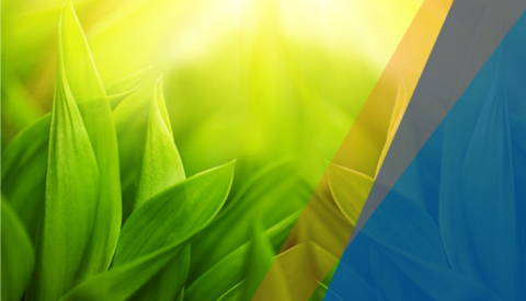 Breaking Through to Difficult People | Canadian Management Centre