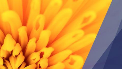 Craving a Moment of Calm? Have a S.N.A.C.K. | Canadian Management Centre