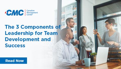 The 3 Components of Leadership for Team Development and Success ...